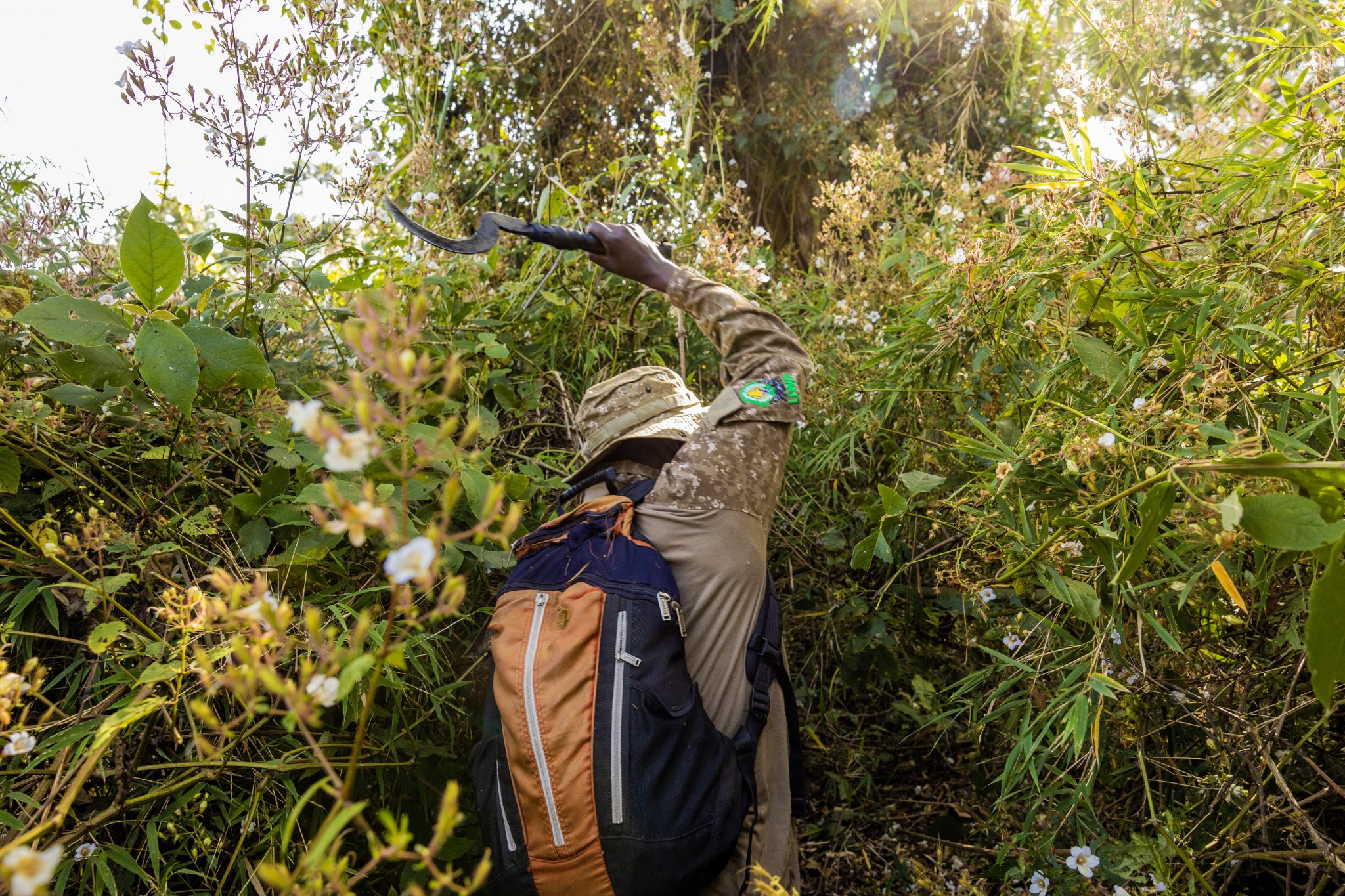 World Ranger Day: Honouring the Foot Soldiers Who Protect the ...