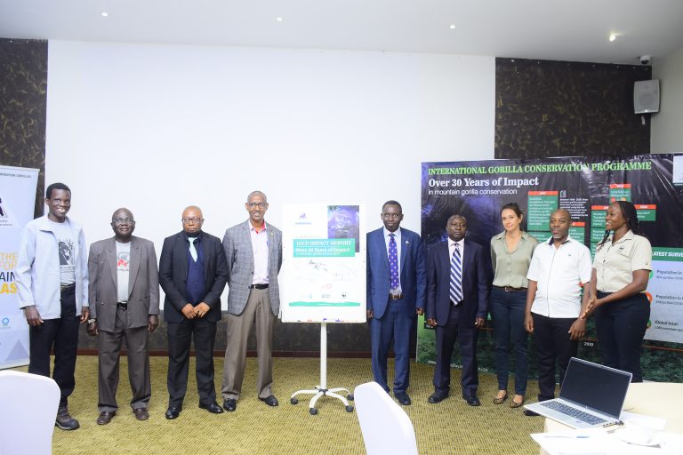 REPORT LAUNCH: "OVER 30 YEARS OF IMPACT IN MOUNTAIN GORILLA ...
