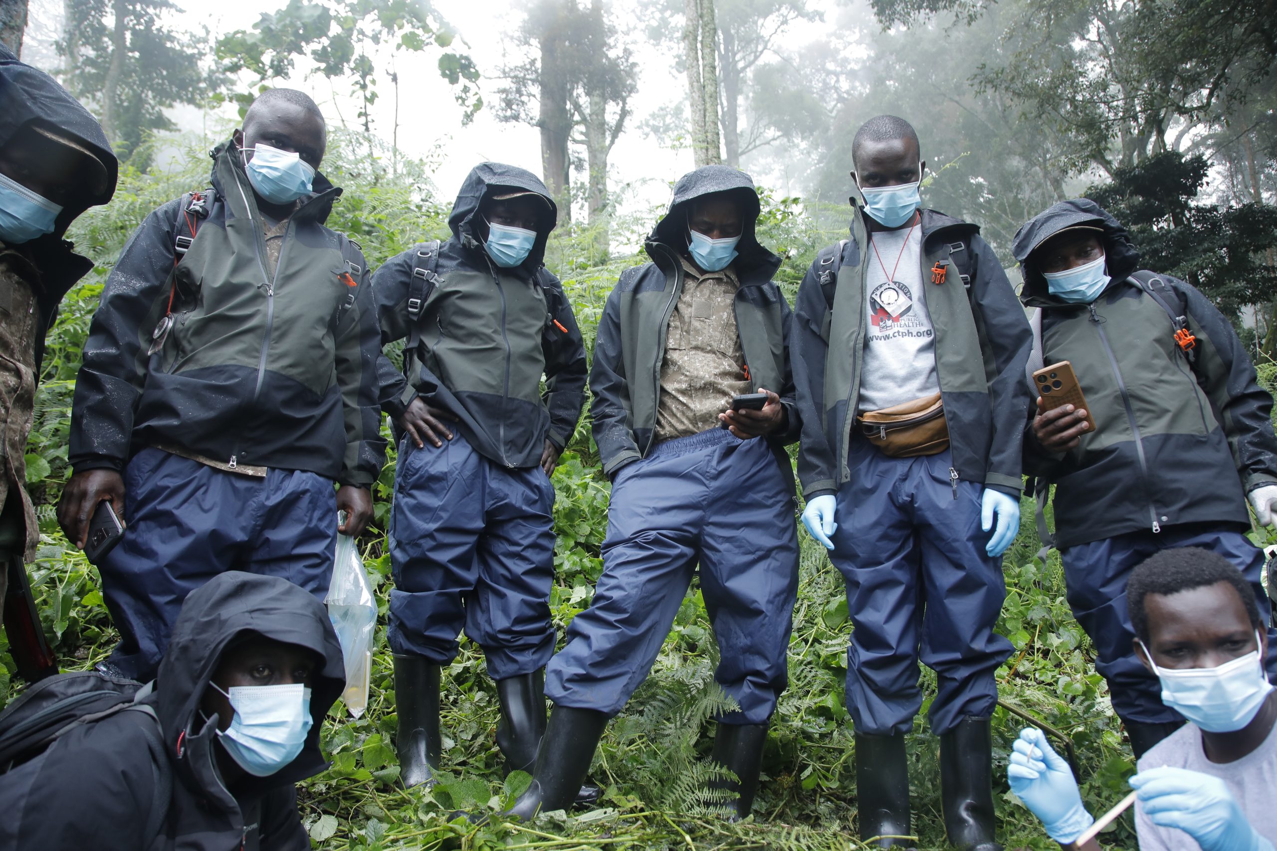 A Few Weeks into the Bwindi-Sarambwe Mountain Gorilla Census: Teams ...